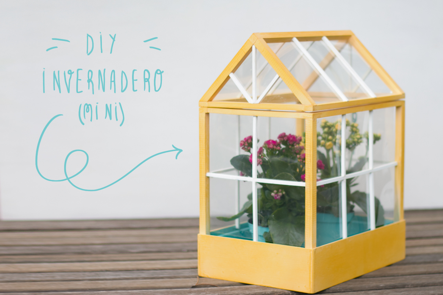 Mira que preciosidad de mini invernadero DIY ¡Aprende cómo hacertelo!