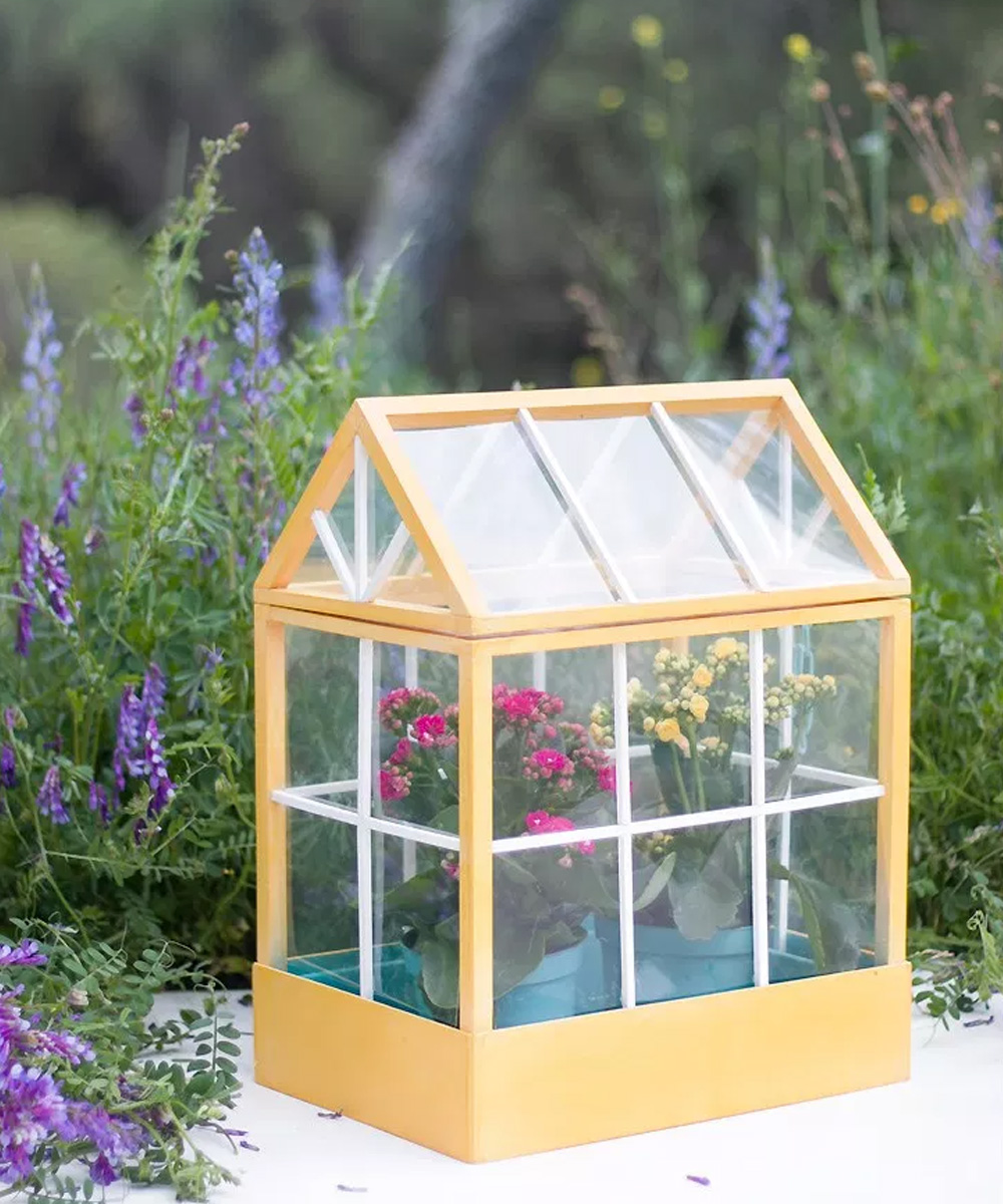 Mira que preciosidad de mini invernadero DIY ¡Aprende cómo hacertelo!